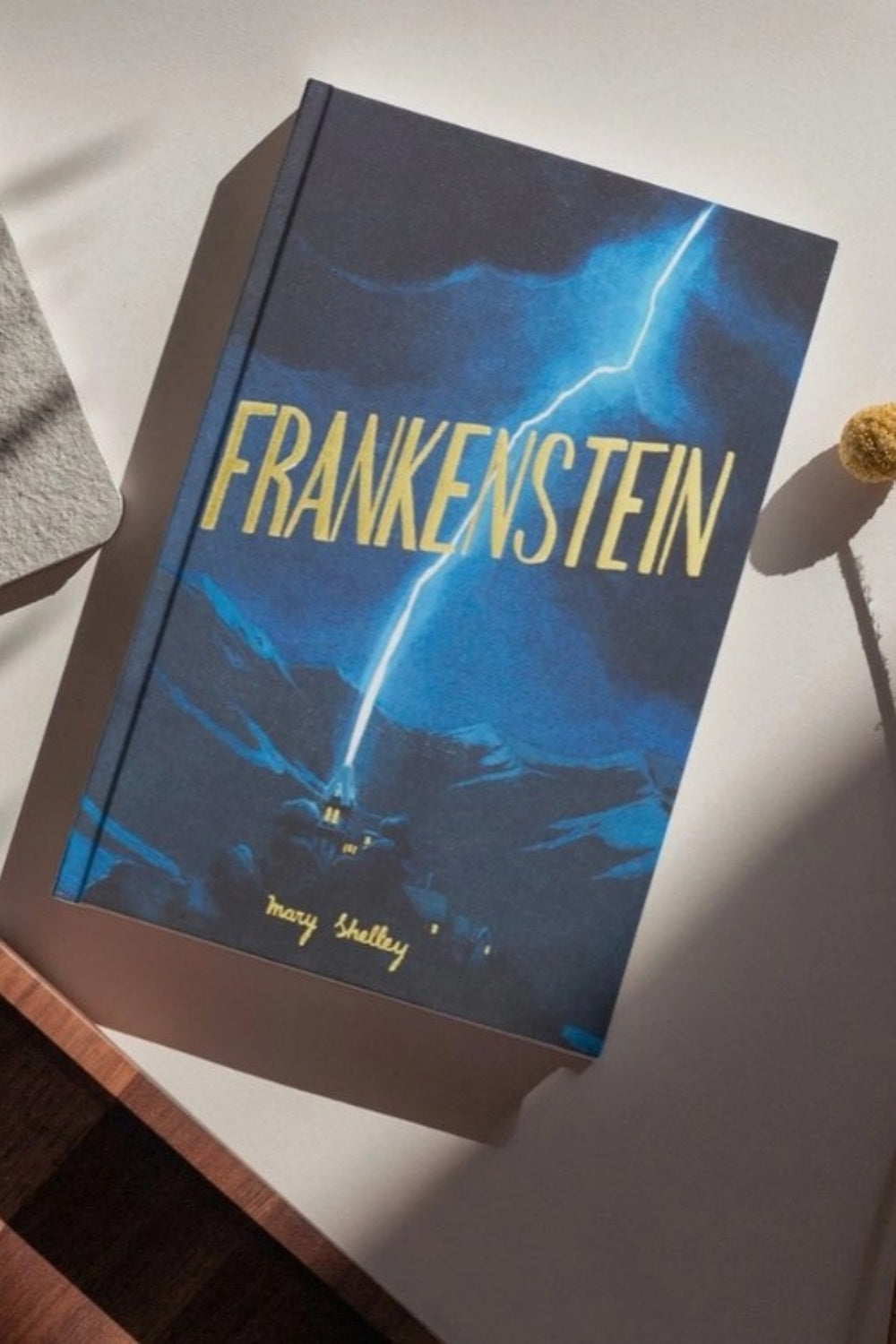WORDSWORTH PRESS FRANKENSTEIN – therosellestore.com.au